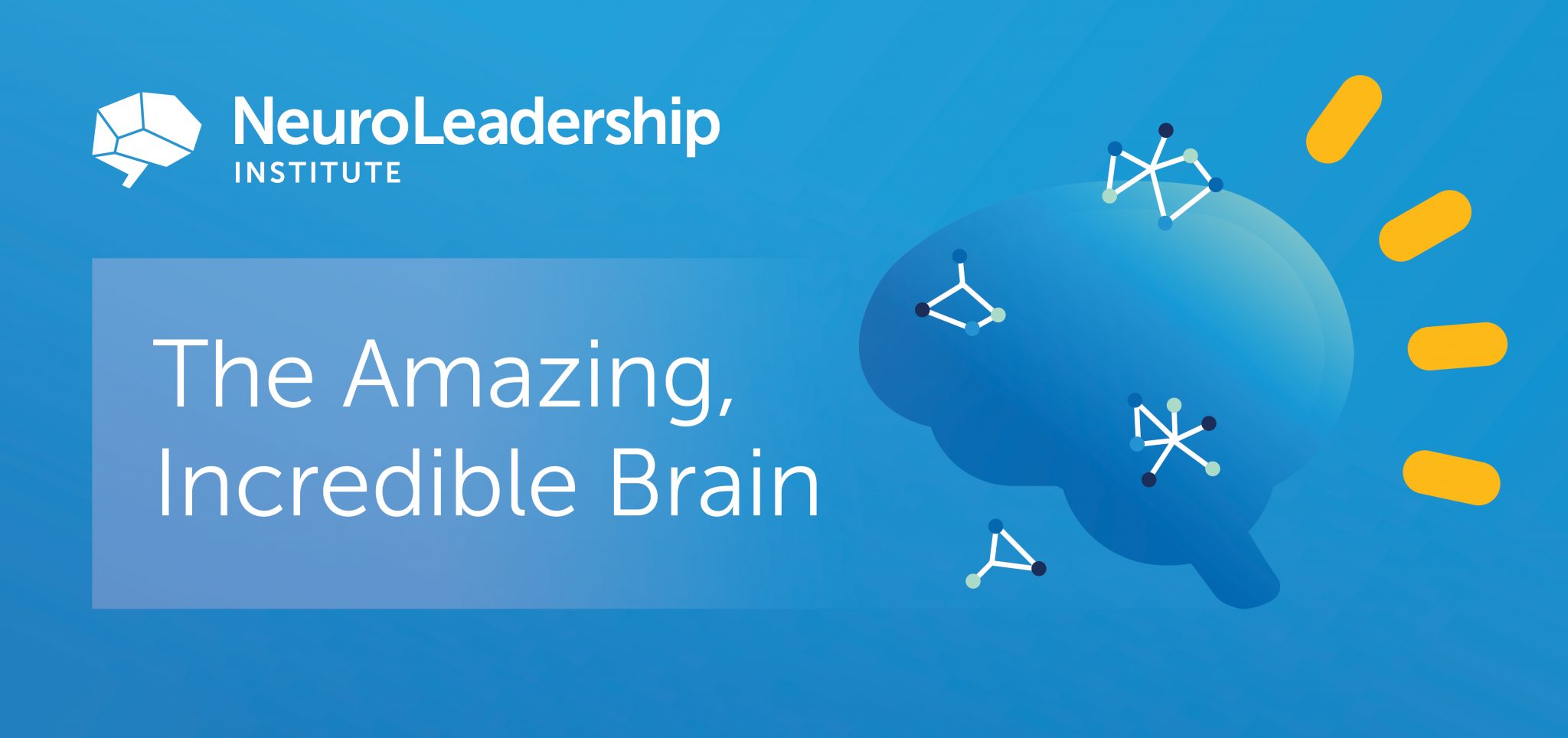 The Amazing, Incredible Brain - NeuroLeadership Institute
